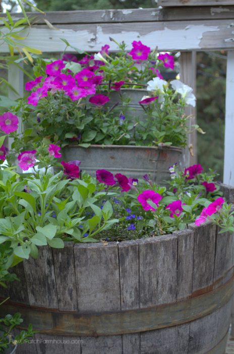 Creative Barrel Planter Ideas to Transform Your Garden! - Flower Patch ...