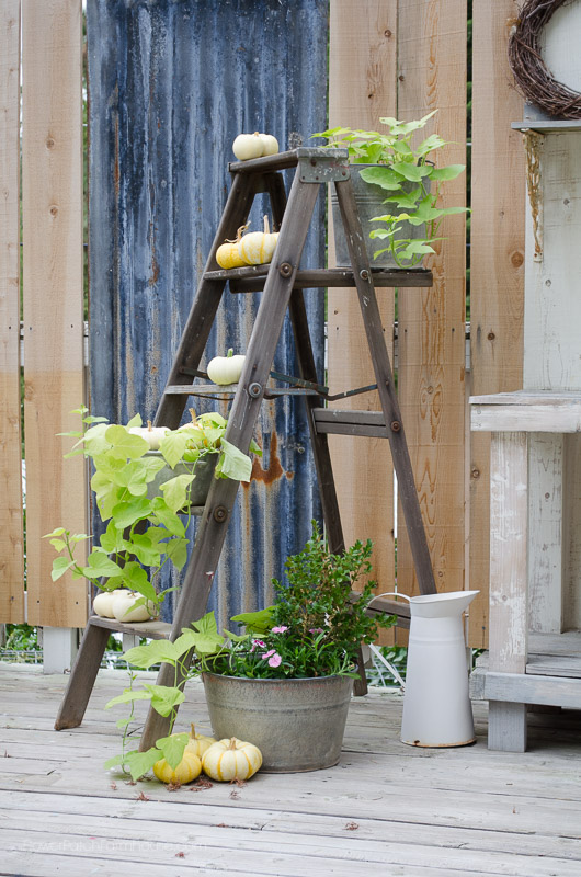 Decorate A Rustic Ladder - Flower Patch Farmhouse