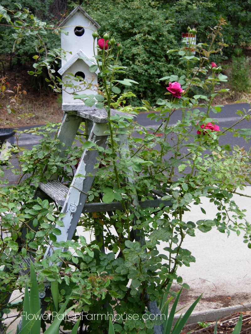 Decorate A Rustic Ladder - Flower Patch Farmhouse