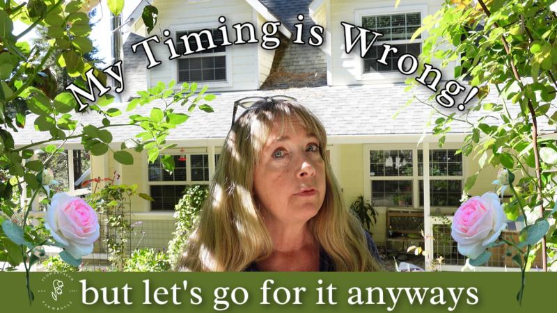 Air Layering to Root Roses - Flower Patch Farmhouse