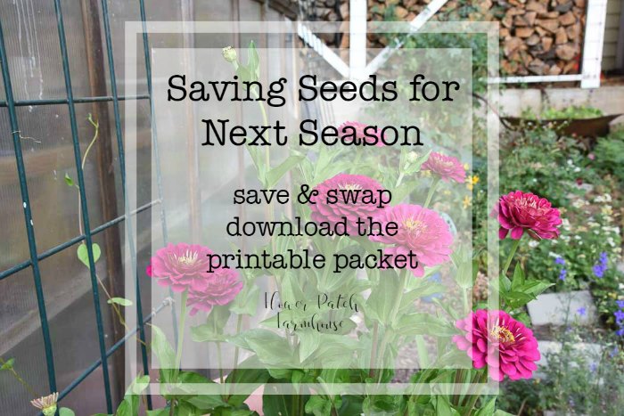 Seed Saving for More Garden Blooms - Flower Patch Farmhouse