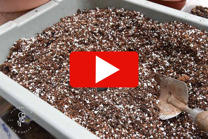 Easy DIY Potting Soil - Flower Patch Farmhouse