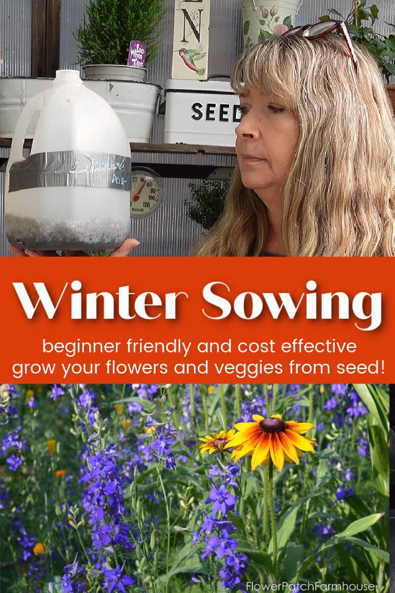 Winter Sowing Seeds, Your Easy Guide to Success - Flower Patch Farmhouse