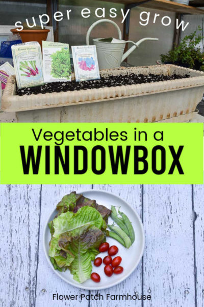 Gorgeous Container Gardening Tips and Ideas! - Flower Patch Farmhouse