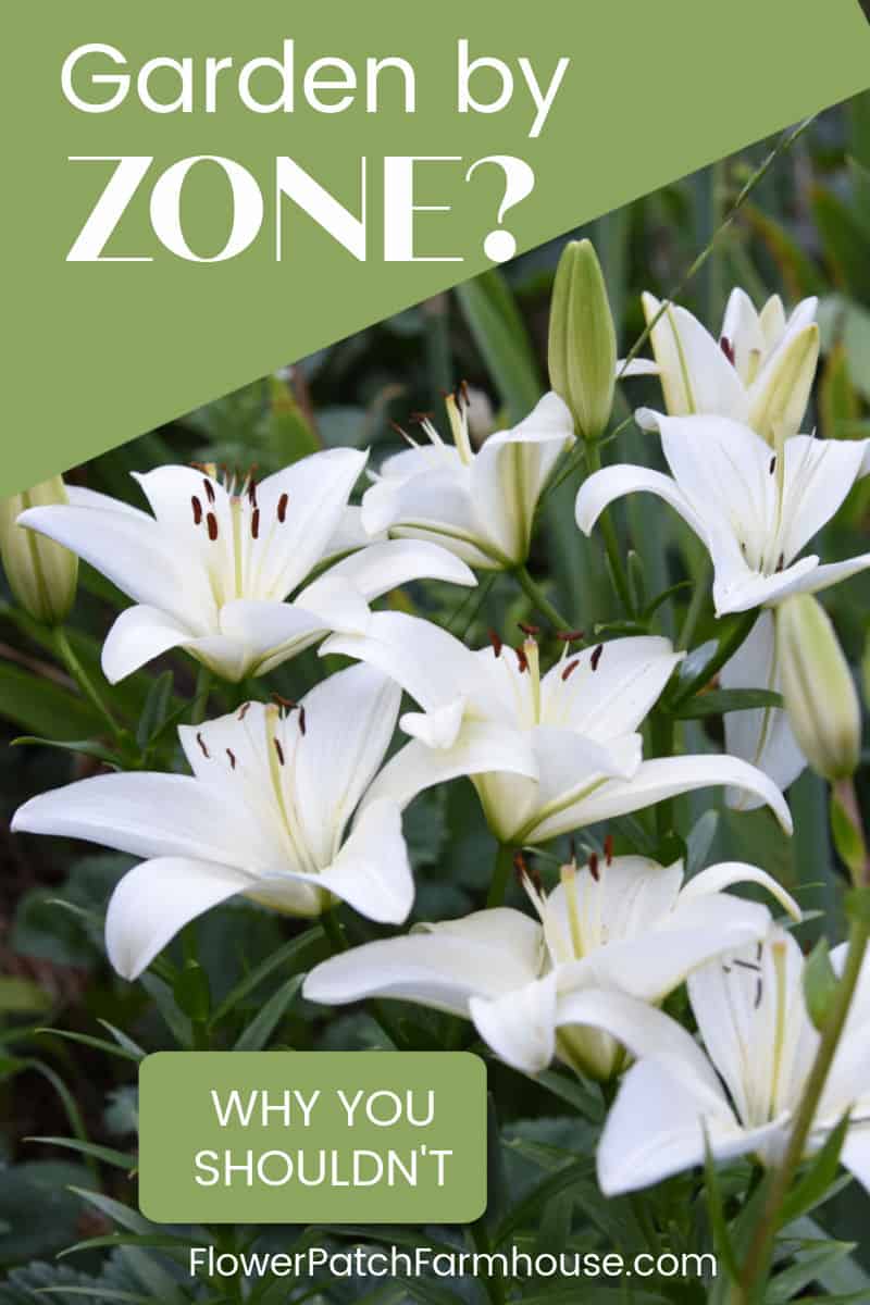 What You Need to Know about Garden Zones! This is Important. - Flower ...