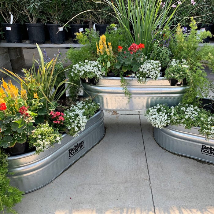 Stunning Ideas for Flowers in Pots - Flower Patch Farmhouse