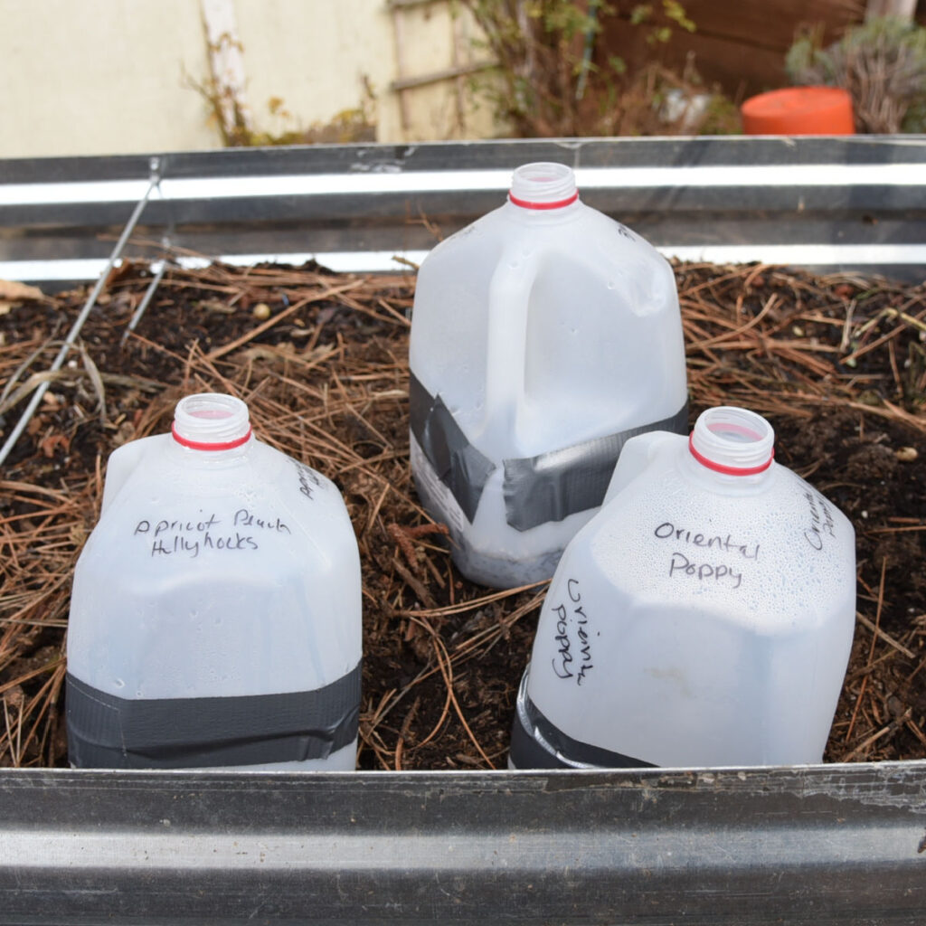 Creative Barrel Planter Ideas to Transform Your Garden! - Flower Patch ...