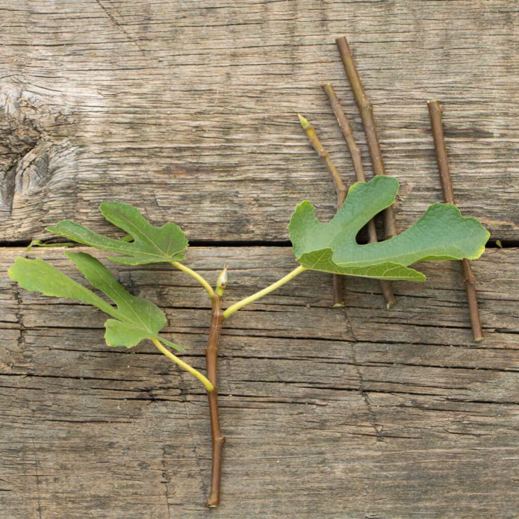 How to get a Rustic Finish on New Wood in 4 steps - Flower Patch Farmhouse