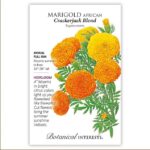 Are Marigolds Perennials? - Flower Patch Farmhouse