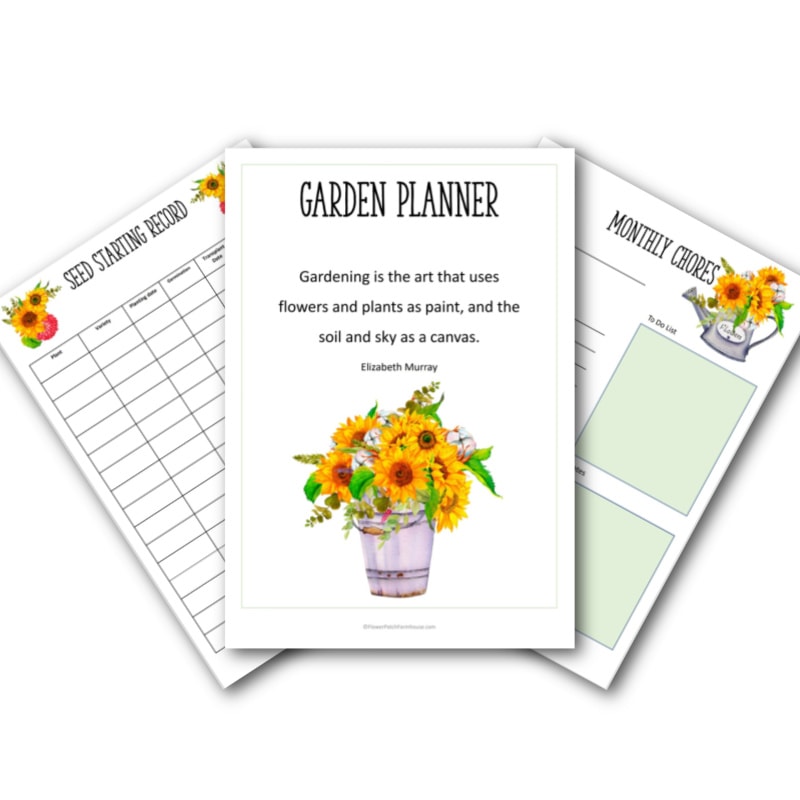 Succession Planting Flowers - Get Blooms All Summer Long! - Flower ...