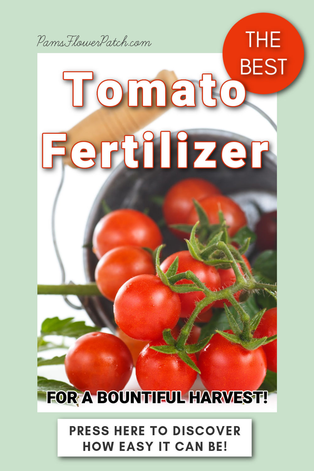 Best Fertilizer for Tomatoes - Flower Patch Farmhouse