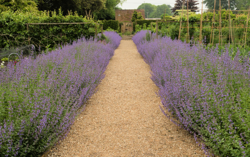 Awakening the Senses: Creating Your Own Sensory Garden - Flower Patch ...