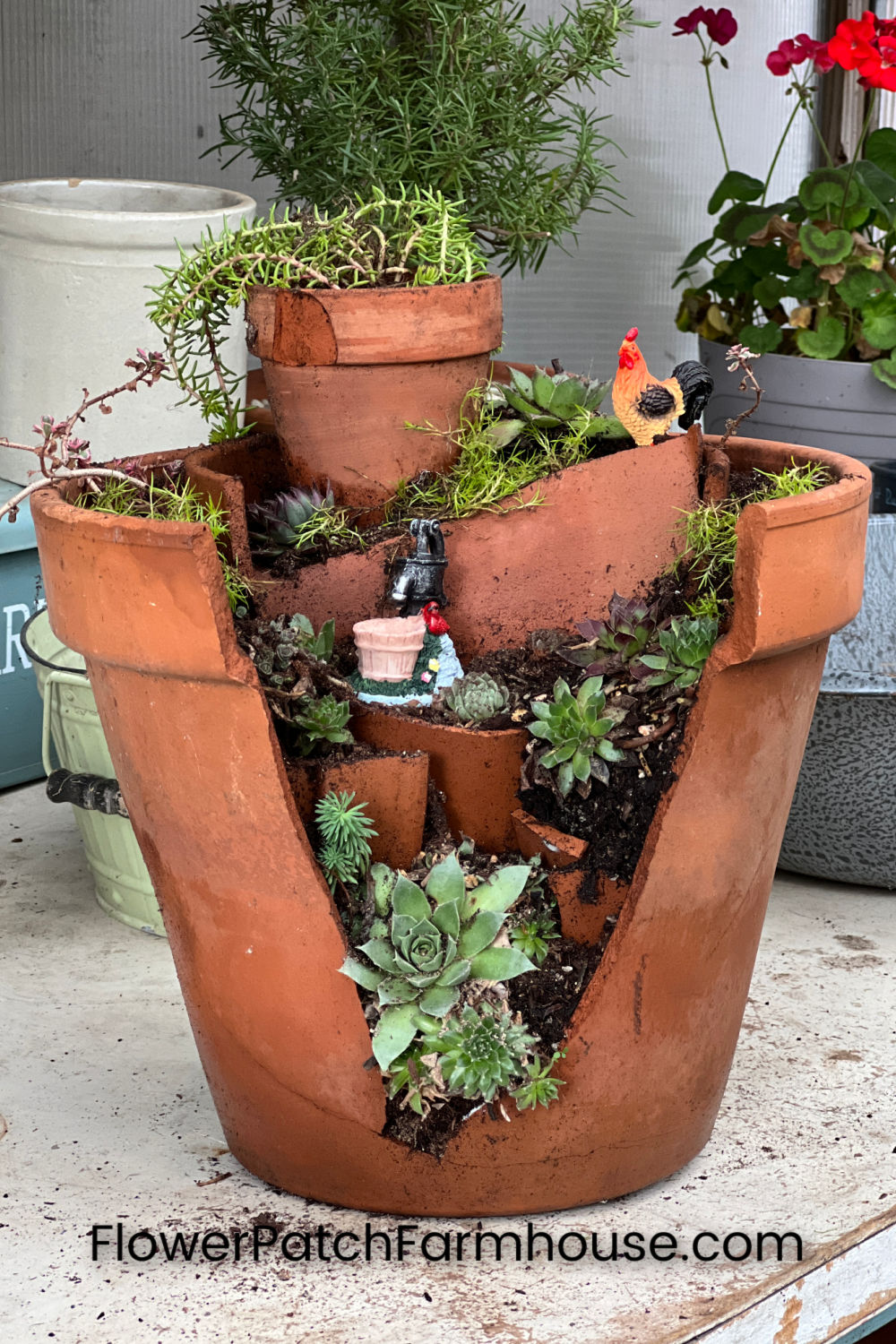 Succulent Fairy Garden - Flower Patch Farmhouse