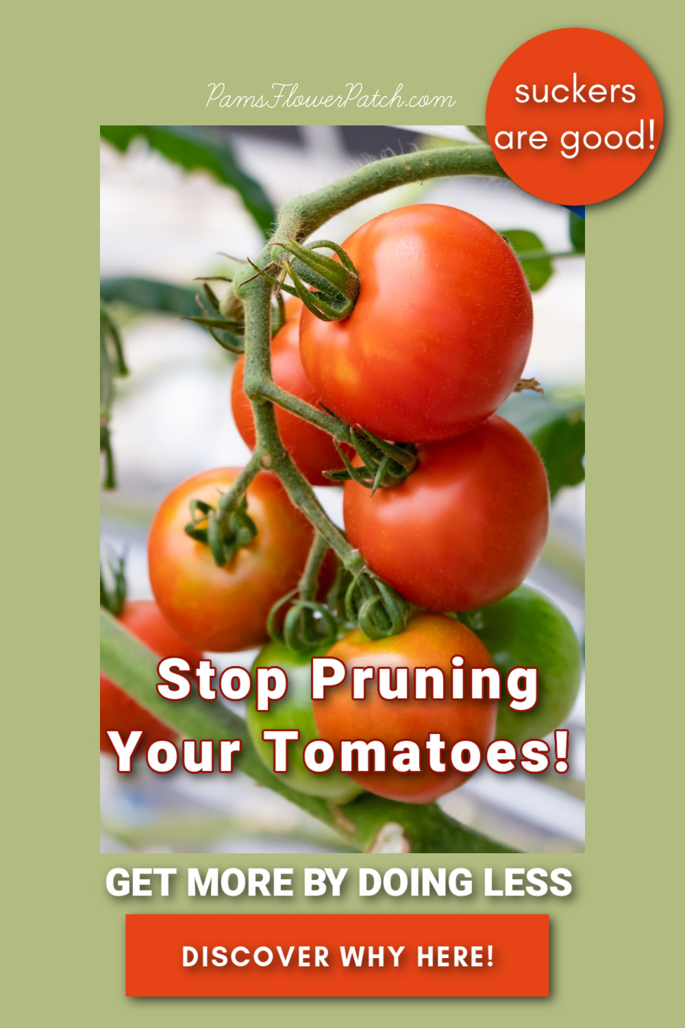 Stop Pruning Tomato Plants Until You Read This! - Flower Patch Farmhouse