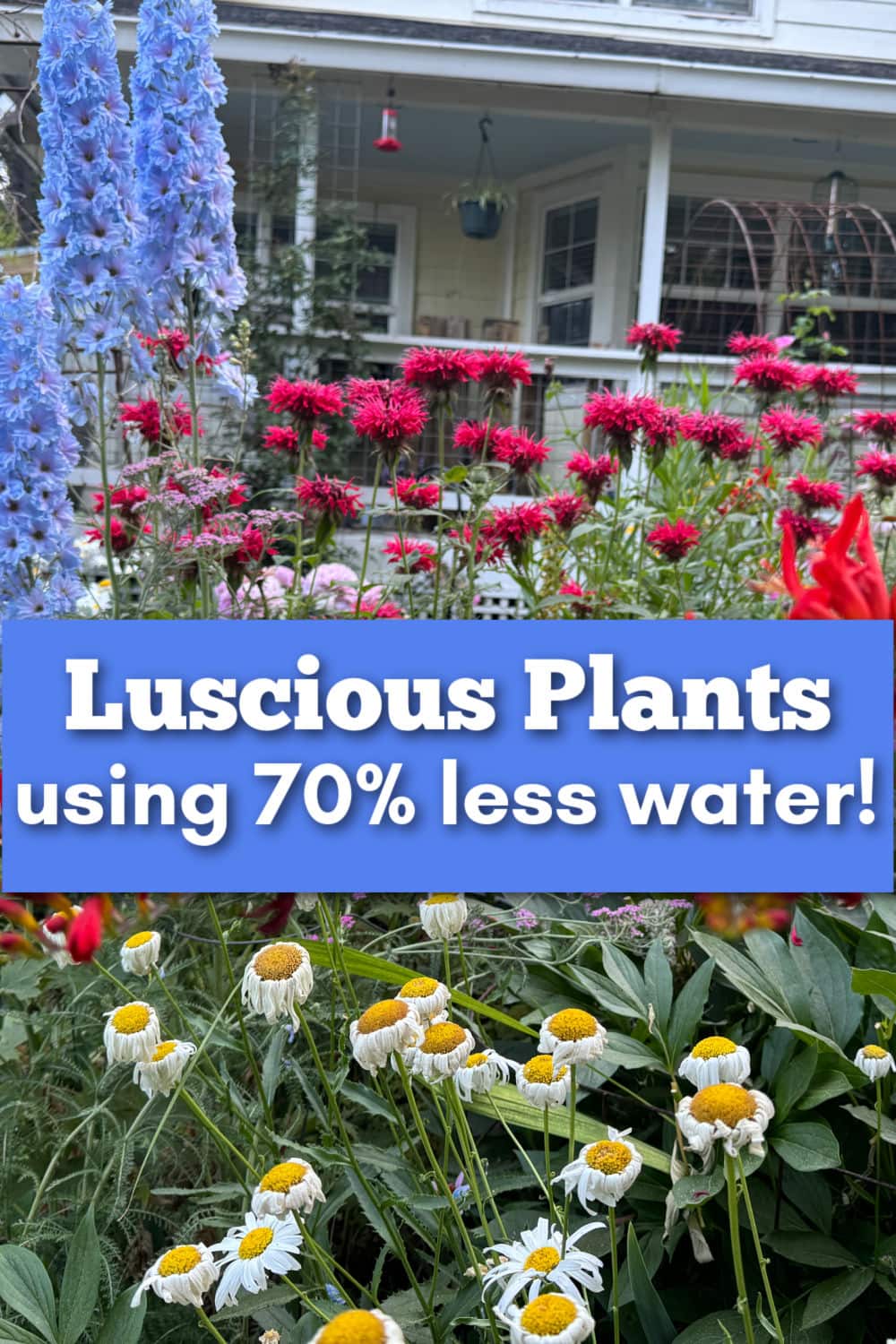 Water Saving Ollas - Flower Patch Farmhouse