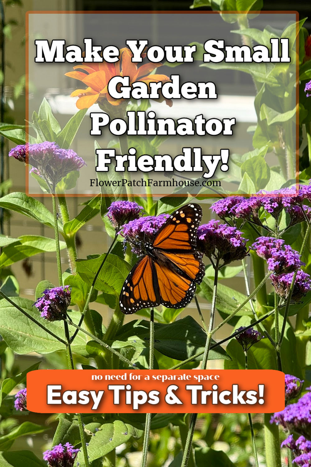 How to Make Your Small Garden Pollinator-Friendly - Flower Patch Farmhouse